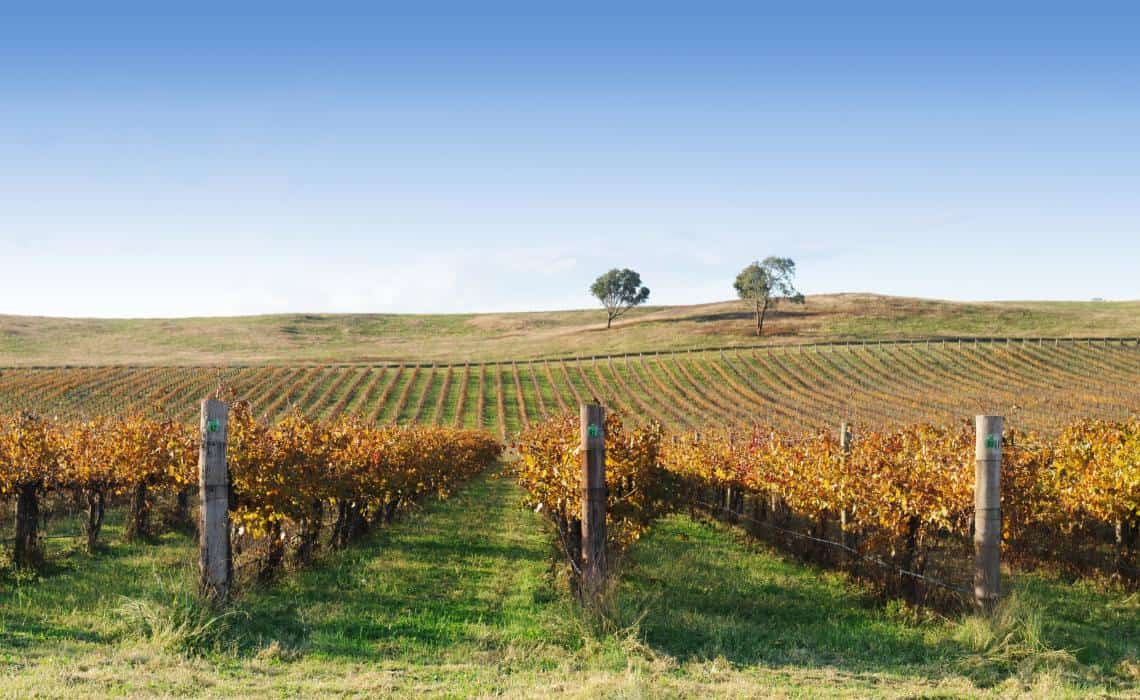 Homepage - Parklands Resort Mudgee