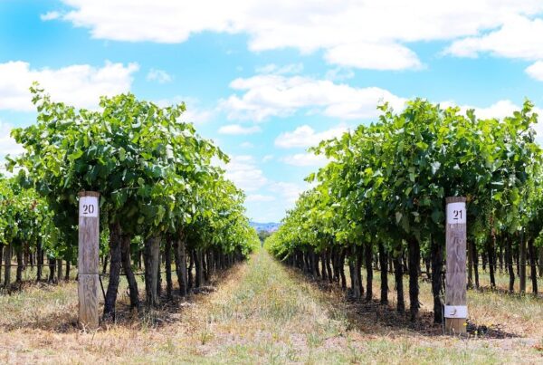 Homepage - Parklands Resort Mudgee