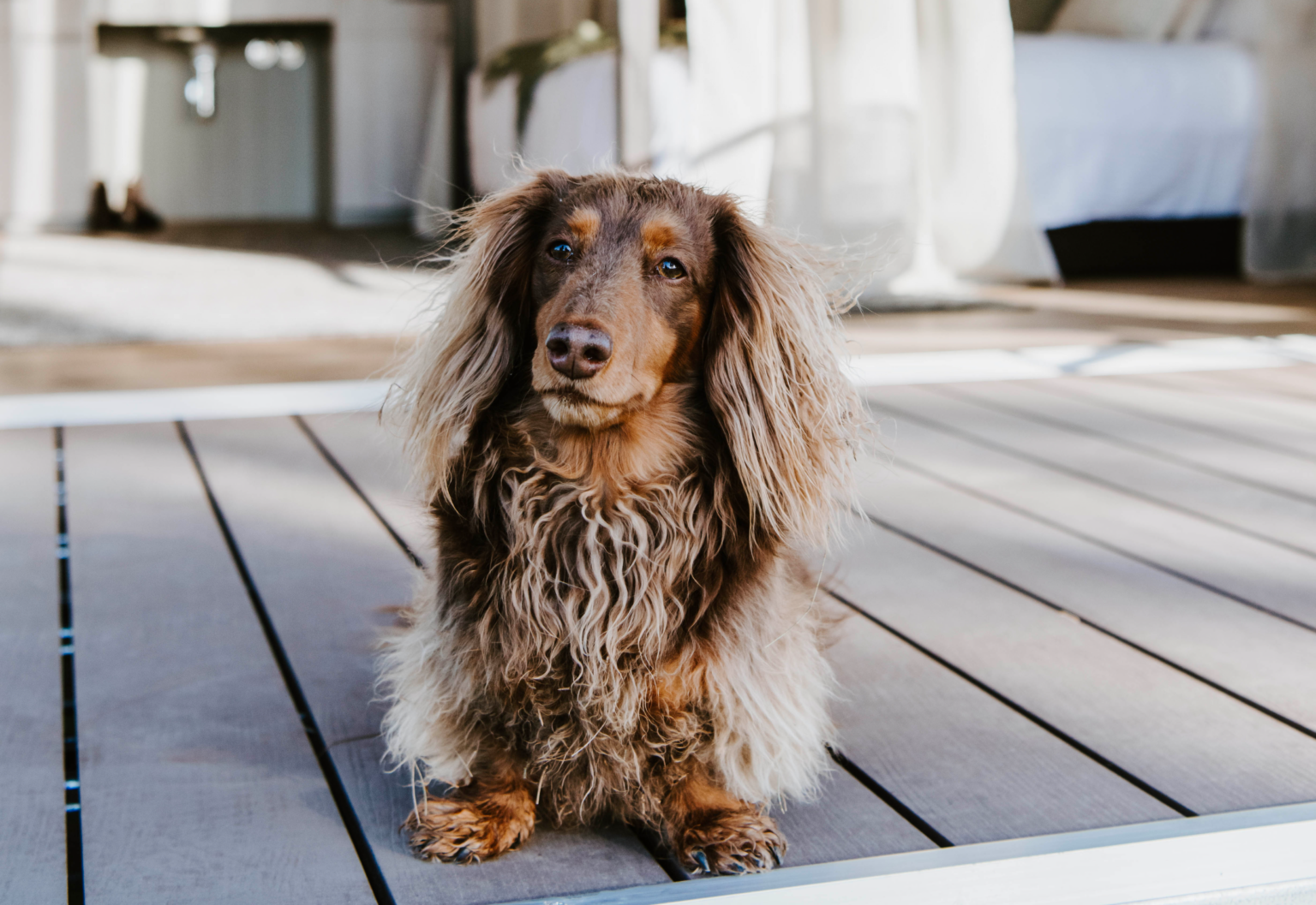 Homepage - Parklands Resort Mudgee